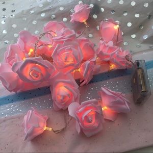 Holiday | New Trendy Hot Pink Roses String Lights | Poshmark